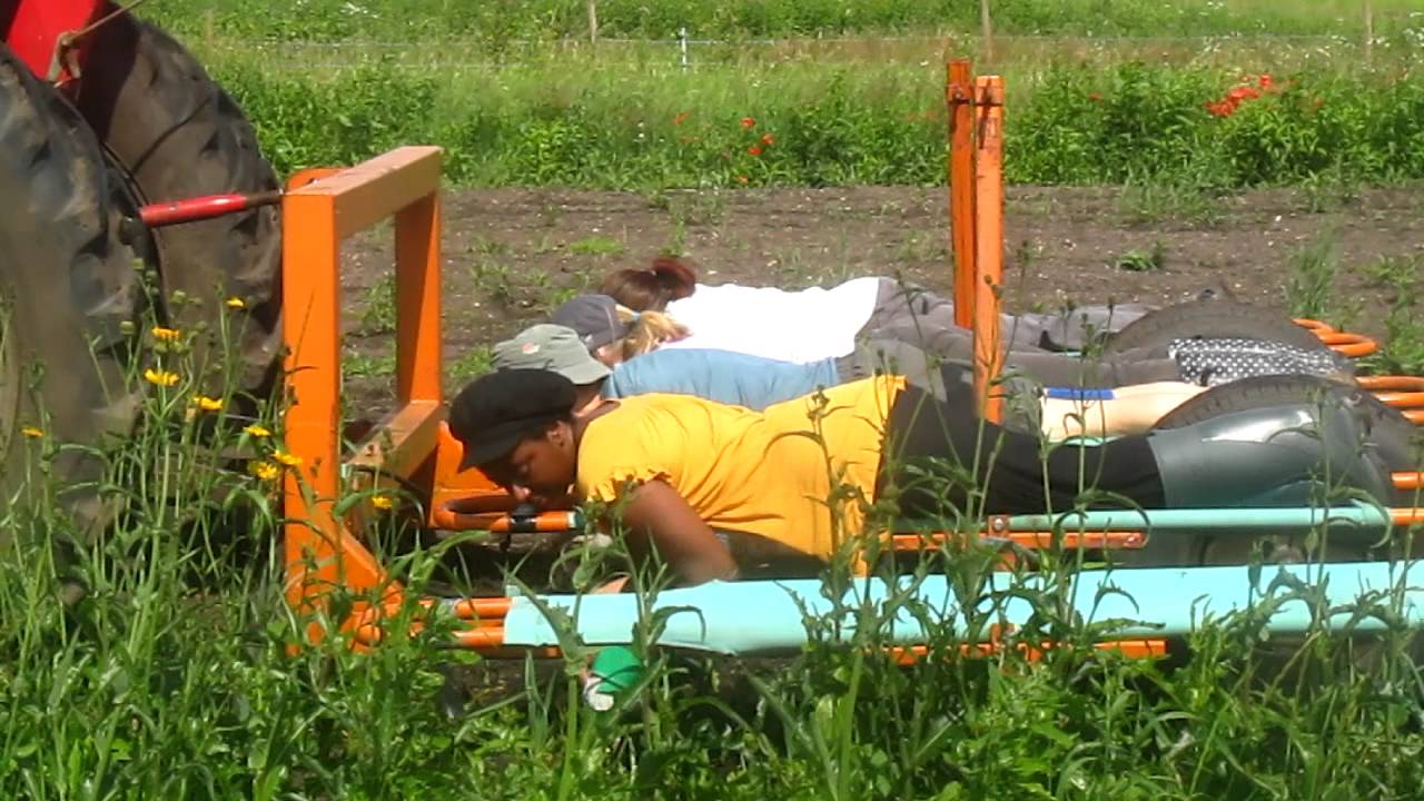 Cambridge CropShare Lay down weeder - YouTube