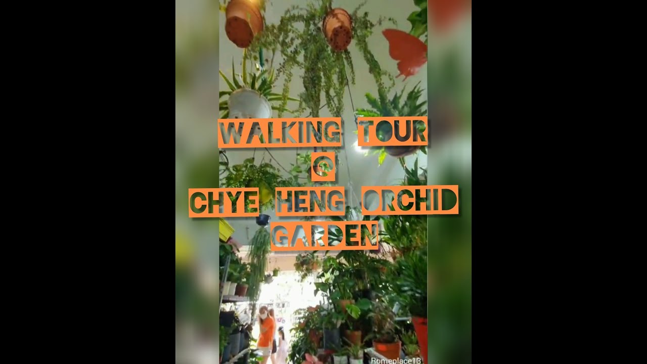 WALKING TOUR @ CHYE HENG ORCHID GARDEN - YouTube