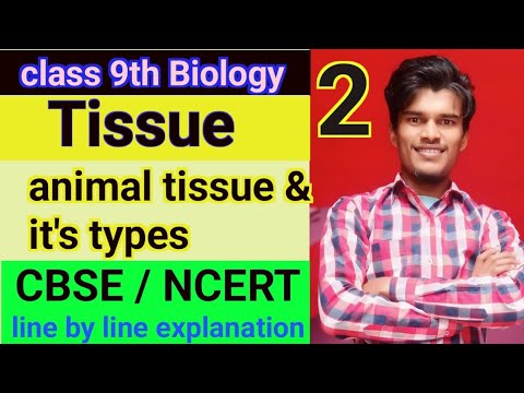 class 9th Science ।। Tissue by biochem sir ।। animal tissue & it's ...