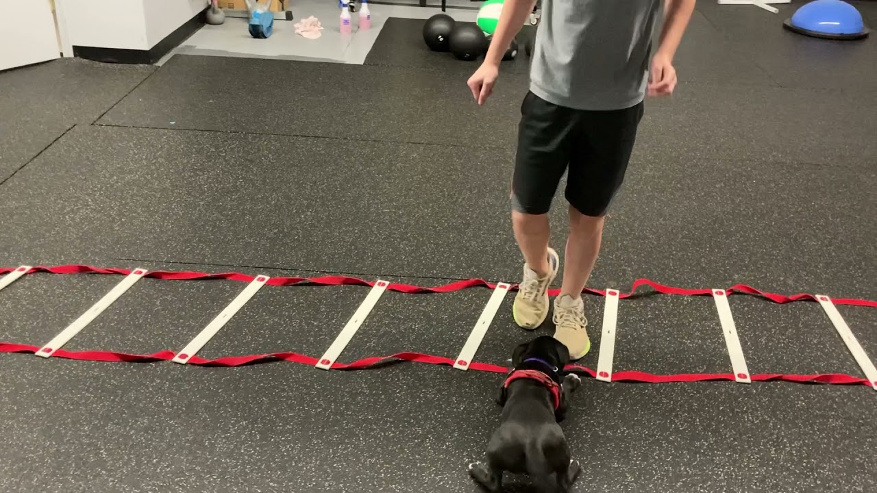 in out ladder 2 - YouTube