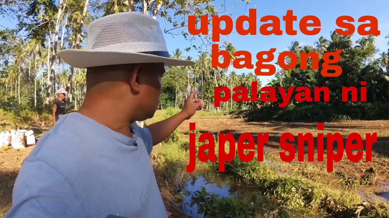 Update sa bagong palayan/ na ayos na ang mga pilapil sa palayan ni ...