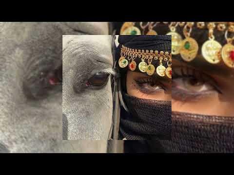 hussain al jassmi - boshret kheir (sped up)