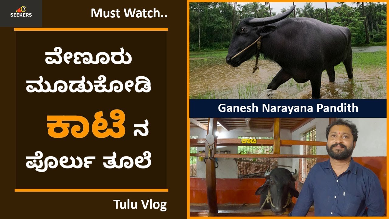 Venoor Moodukodi KAATI Na Porlu | Ganesh Narayana Pandith | Kambala ...