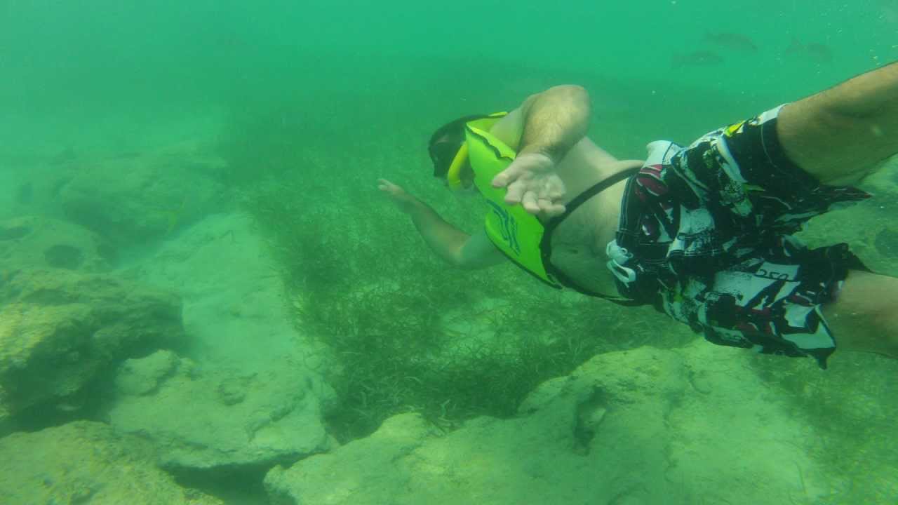 Snorkeling At Castaway Cay in Bahamas with GO PRO2 - YouTube