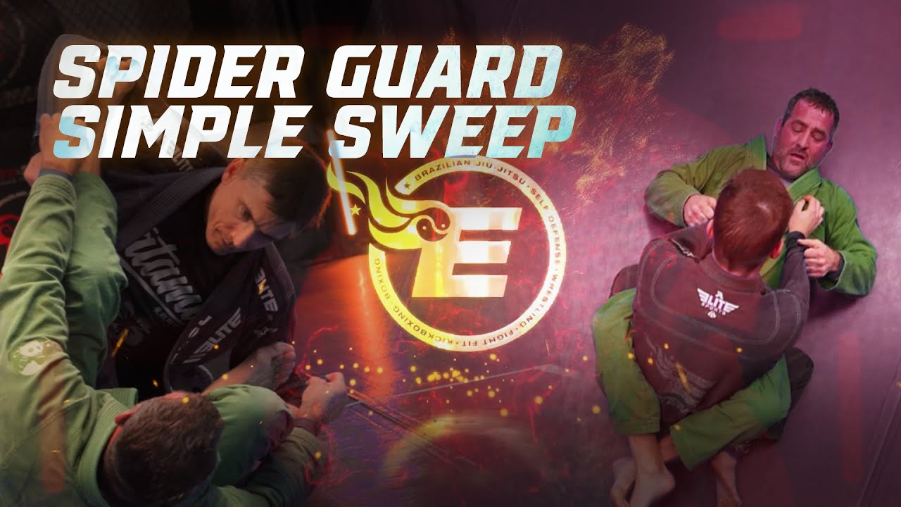 07 Spider guard simple sweep - YouTube