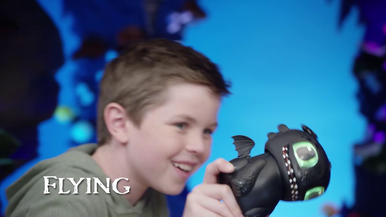How To Train Your Dragon | How To Play With Toothless - YouTube