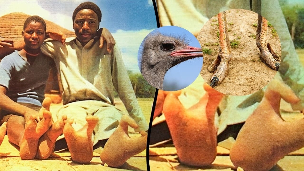 WADOMA: Jamii ya watu wenye MIGUU KAMA MBUNI, Wana Vidole Viwili Tu kwa ...