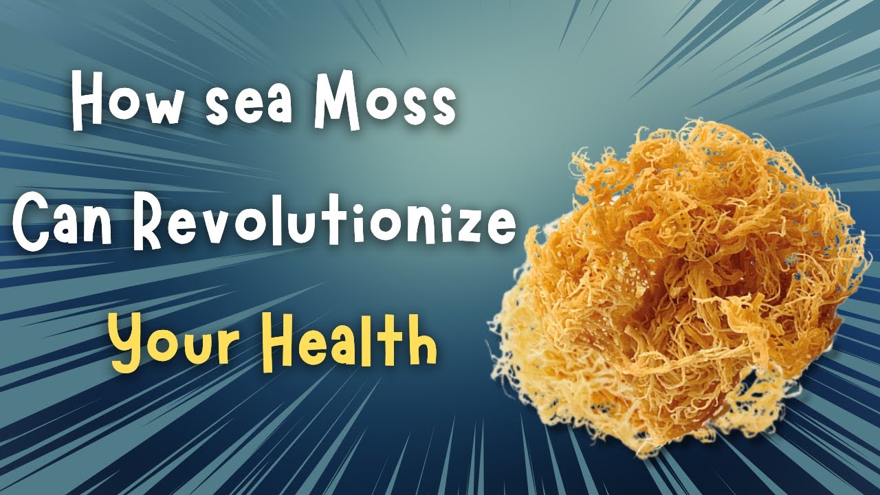 The Secret Benefits of Marine Moss You Need to Know! - YouTube