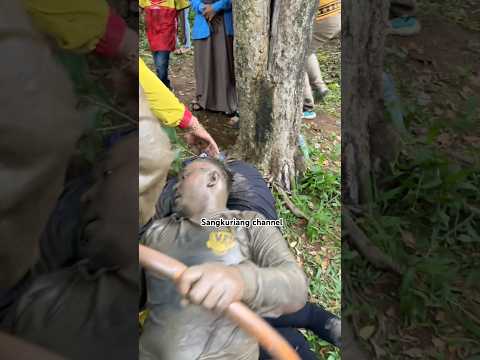 Dua Cewek Cantik Tertindih Kuda Lumping -Seni benjang Mekar budaya