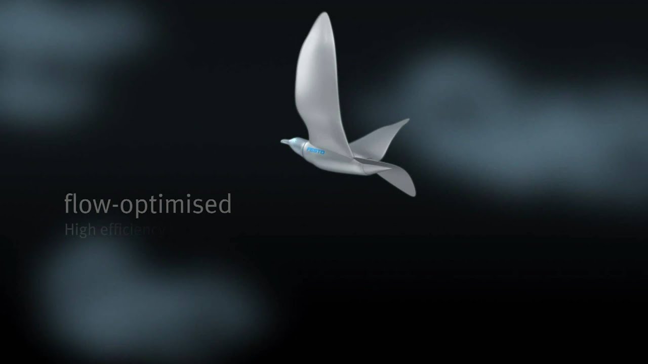 Festo - SmartBird Animation (English) - YouTube