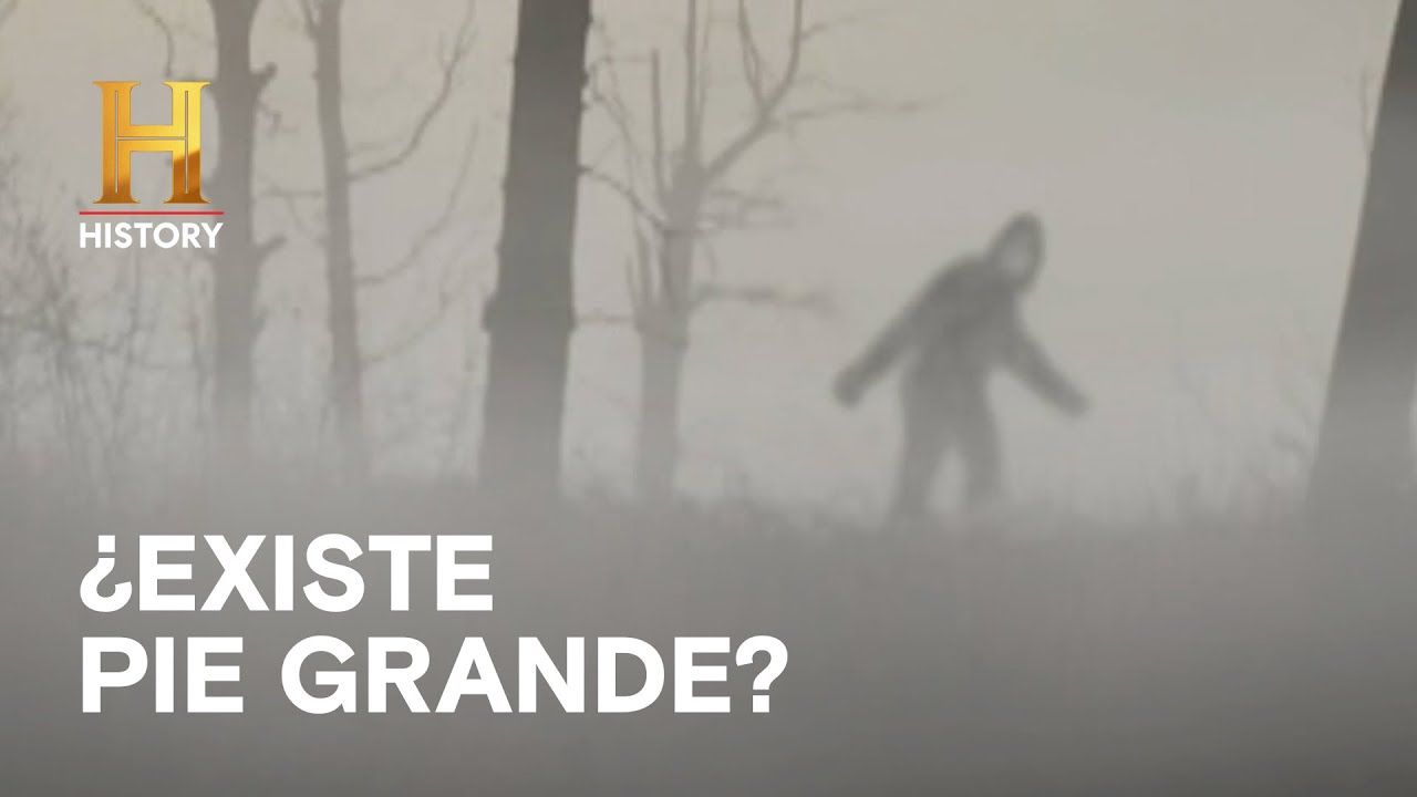 ️ Yeti, Sasquatch, ¿mito o verdad? - MONSTRUOS LEGENDARIOS - YouTube