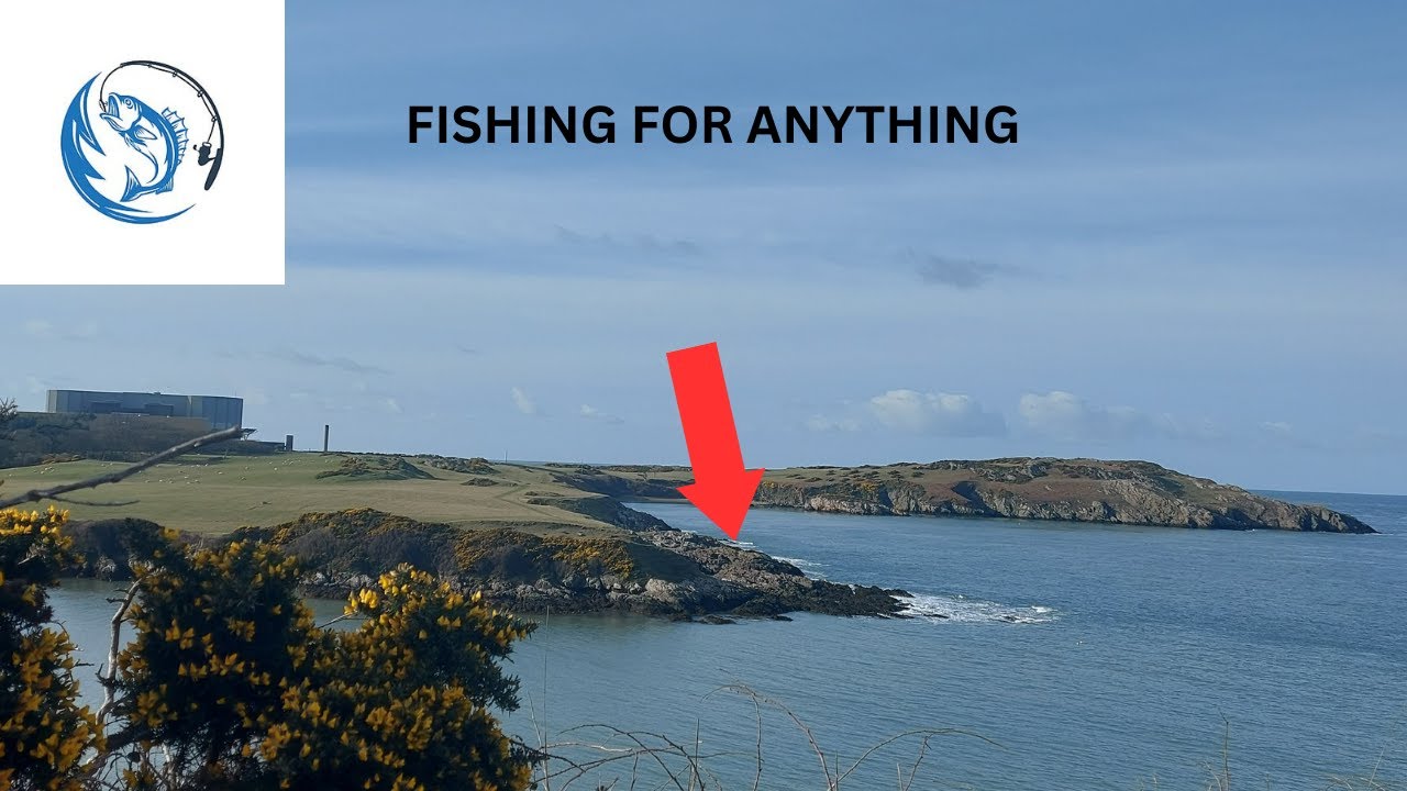FISHING FOR ABSOLUTELY ANYTHING!!!!! - YouTube