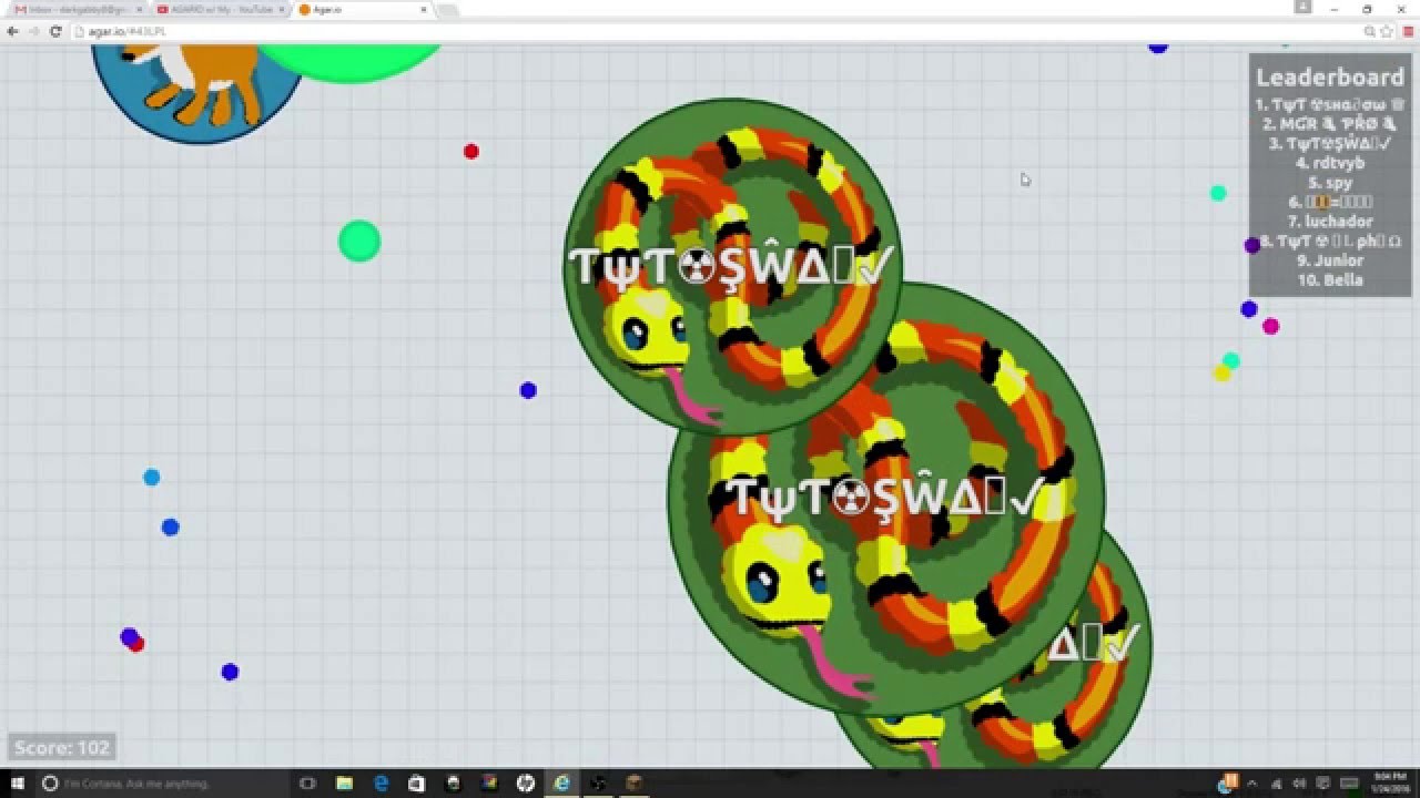 AGARIO w/My sis-Damn snakes xD - YouTube