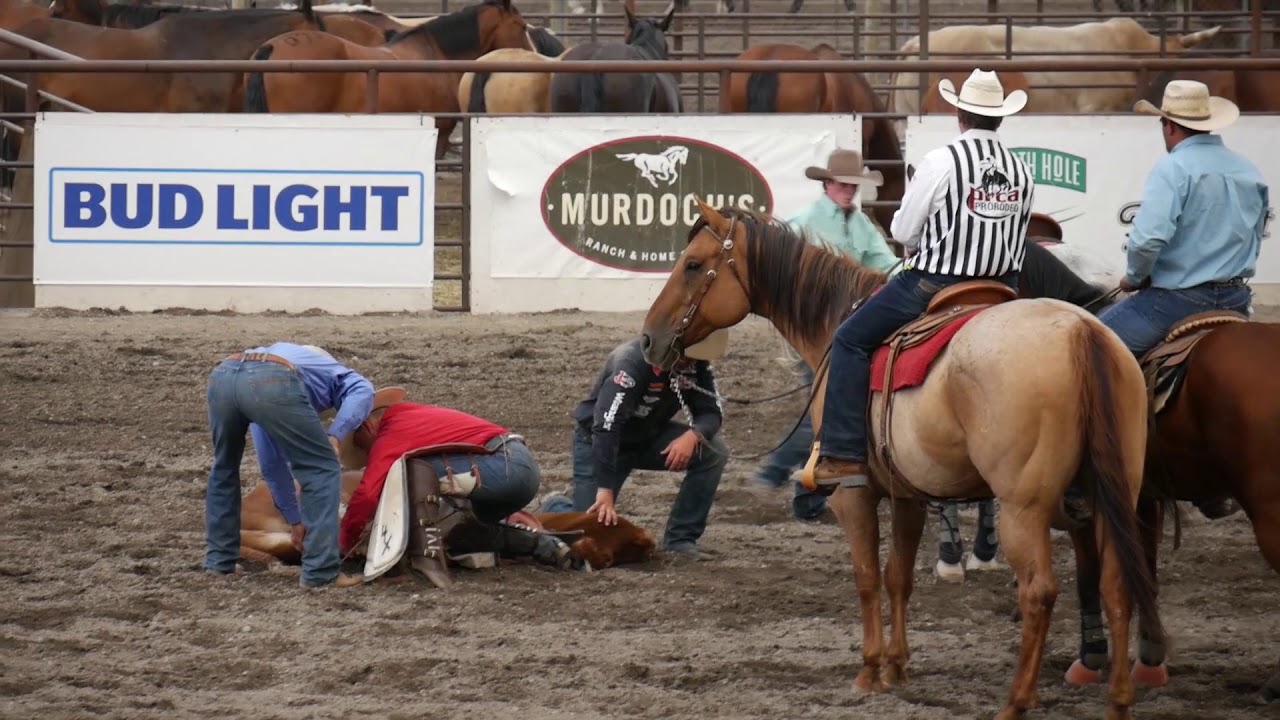 Steer wrestling - Broken Neck accident at Bozeman Stampede Rodeo 2018 ...