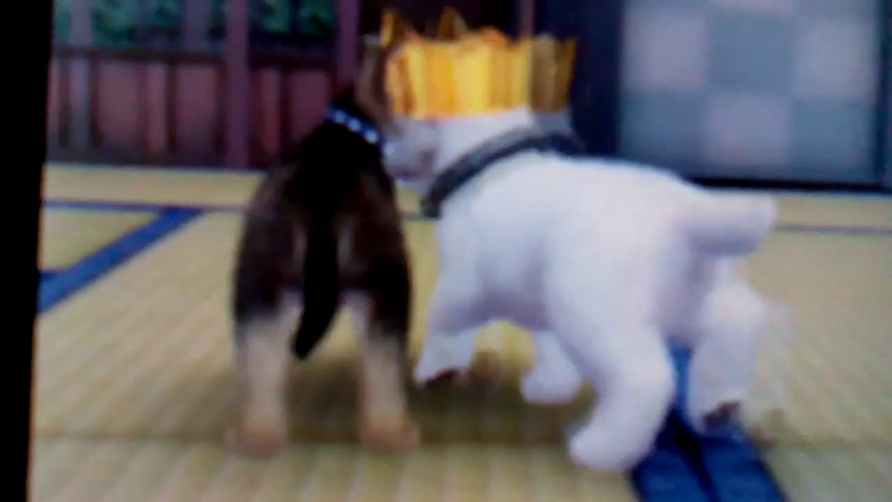 Max and Danny - YouTube