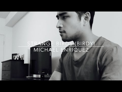 Strange Birds (Birdy) - Vocals and Piano Cover - Michael Enriquez - YouTube