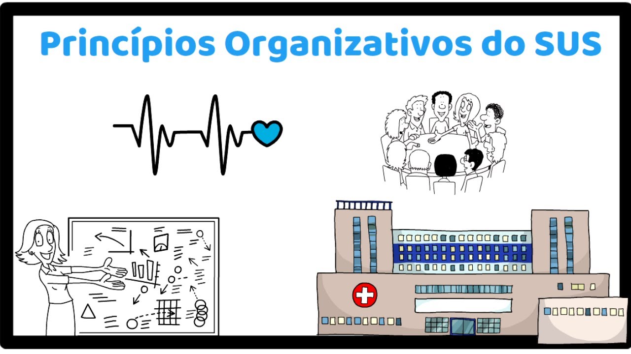 Princípios Organizativos Do Sus - RETOEDU