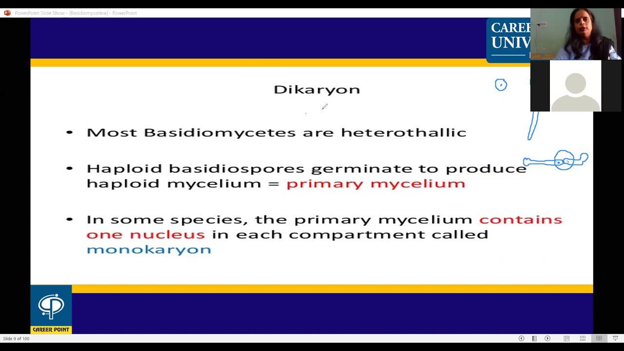 Class Basidiomycetes - YouTube