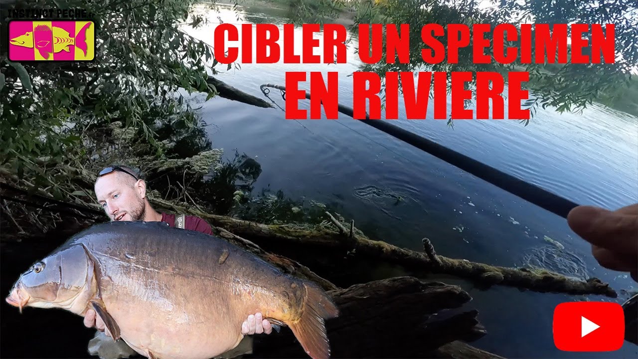CIBLER UN SPECIMEN EN RIVIERE - YouTube
