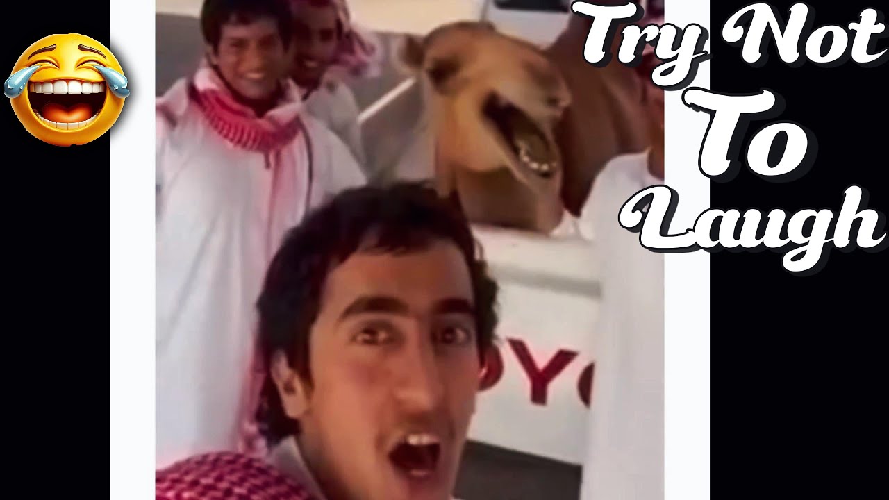 TRY NOT TO LAUGH 🤣🤣 Best Funny Videos- compilation - Fail Of Videos ...