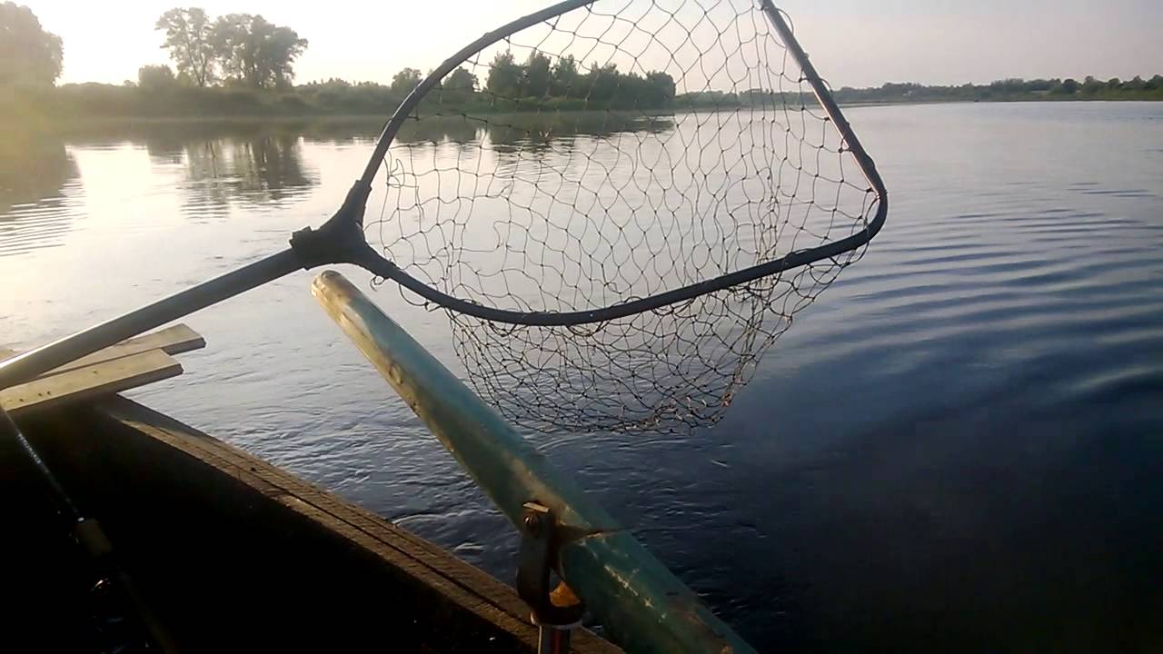 Ribalka na Soma - YouTube