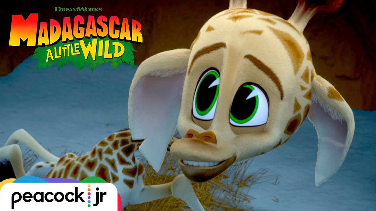 Melman Helps Out | MADAGASCAR A LITTLE WILD - YouTube
