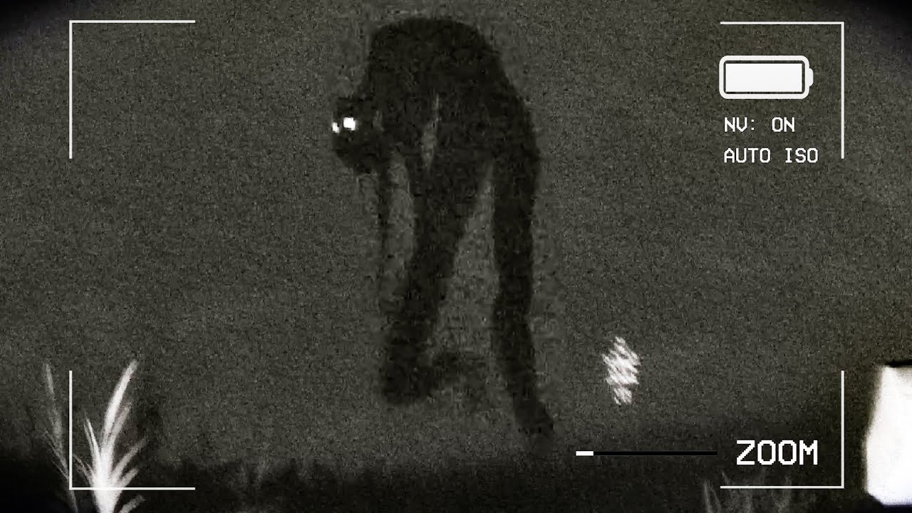 HORROR GAME WITH CREEPY MONSTERS AND SHOCKING ENDING - Contorted - YouTube