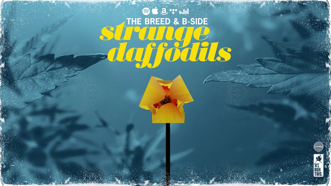 THE BREED & B-SIDE - Strange Daffodils (Official Audio) - YouTube