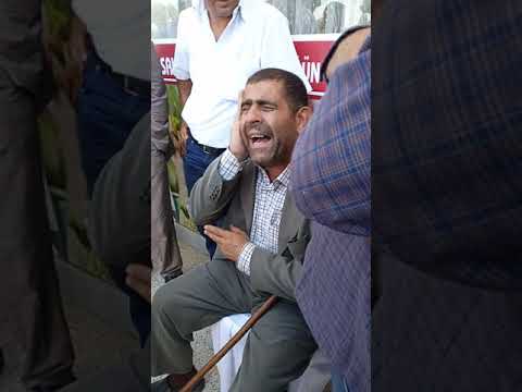 Dünyayı ağlatan dengbej elfesiya