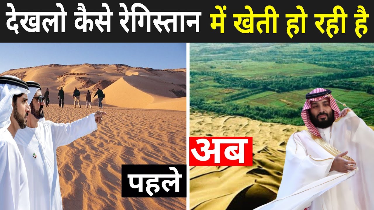देखलो कैसे रेगिस्तान में खेती हो रही है | Saudi Arabia Desert Farming ...