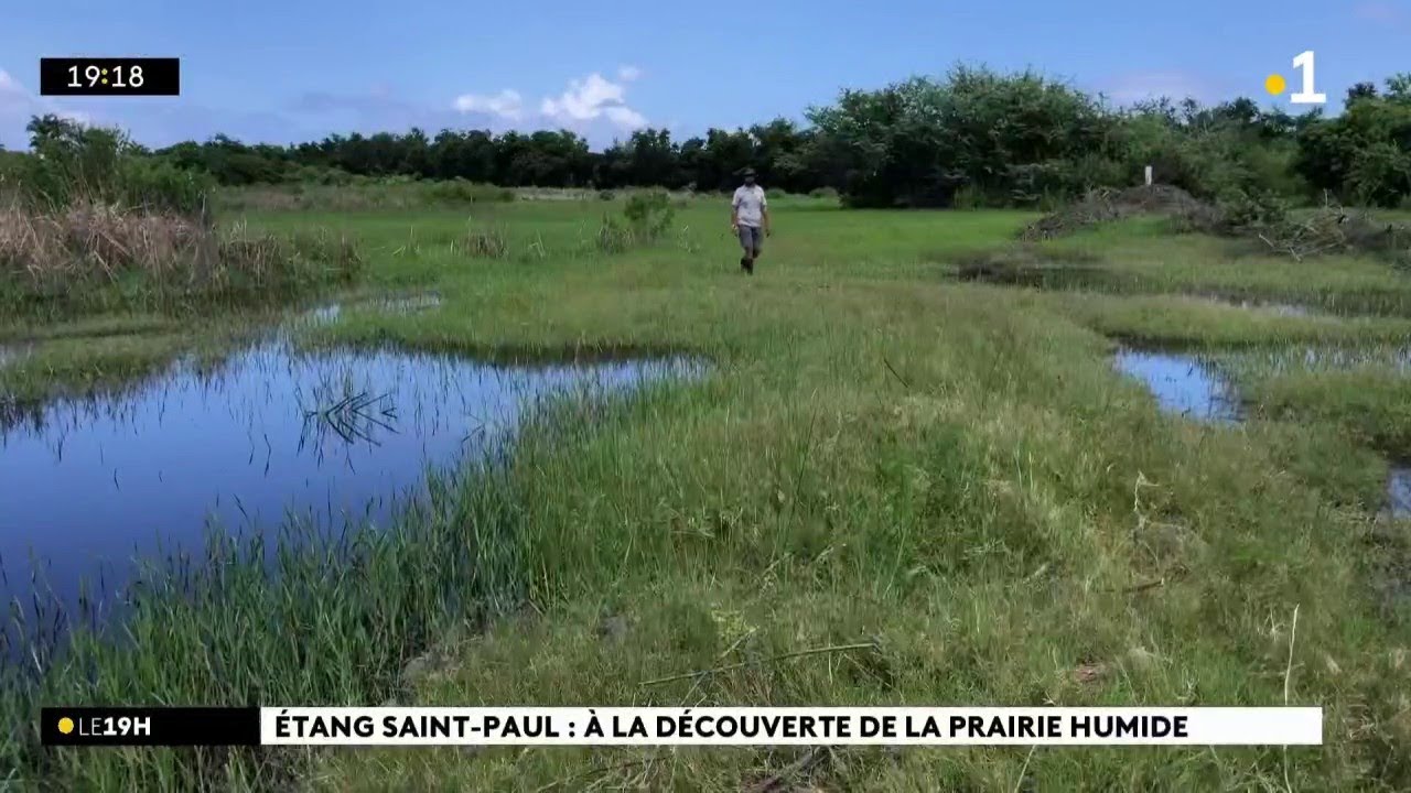 Journée mondiale des zones humides : découverte de la prairie humide de ...