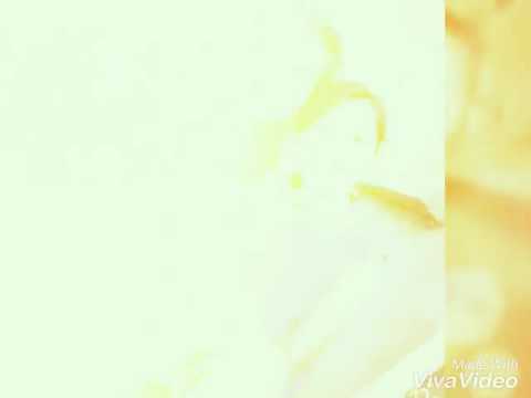 Sıla SEVGİ HİKAYELERİ(2)