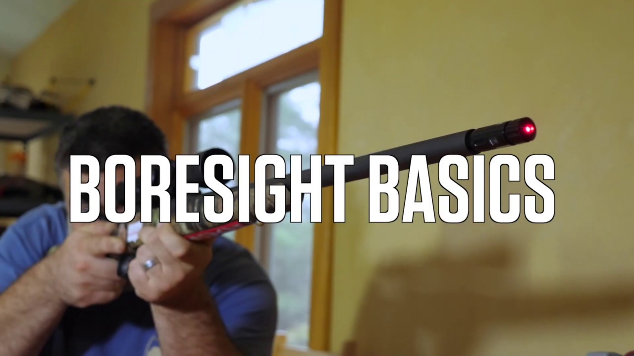 Borsighting Basics | ARO News