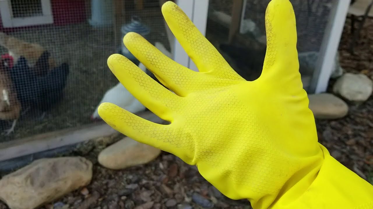 Afternoon Chicken Chores! How to Maintain a Clean Coop and Run! - YouTube