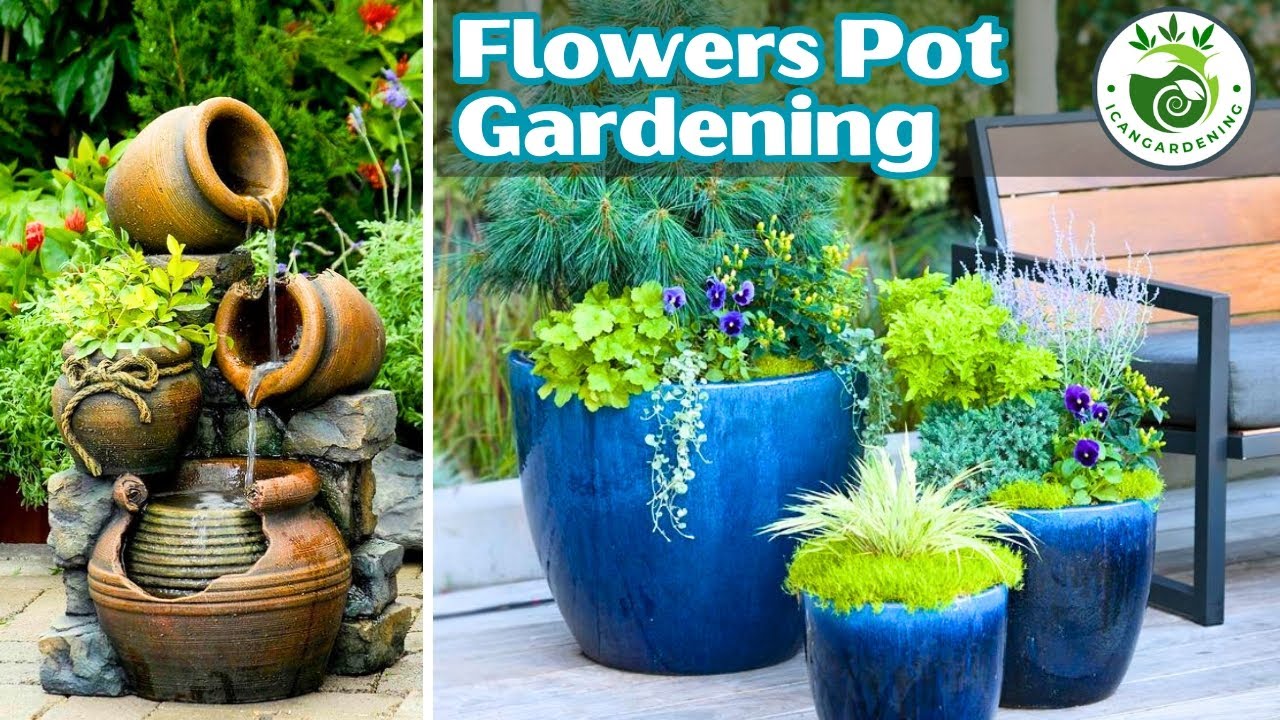 Blossoming Beauty - Unleashing the Magic of Flower Pot Gardening - YouTube