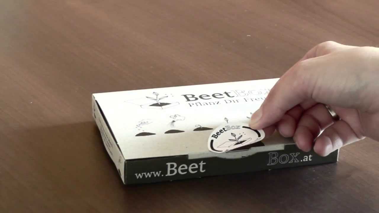 Beet-Box - YouTube