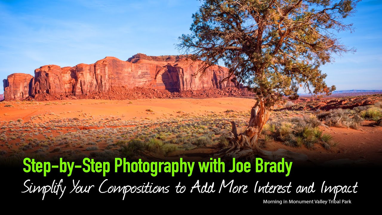 Add Impact and Focus to Your Photos - Simplify Your Composition with ...