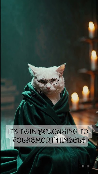 Harry Potter and the Sorcerer's Stone Chapter 5: Diagon Alley - YouTube