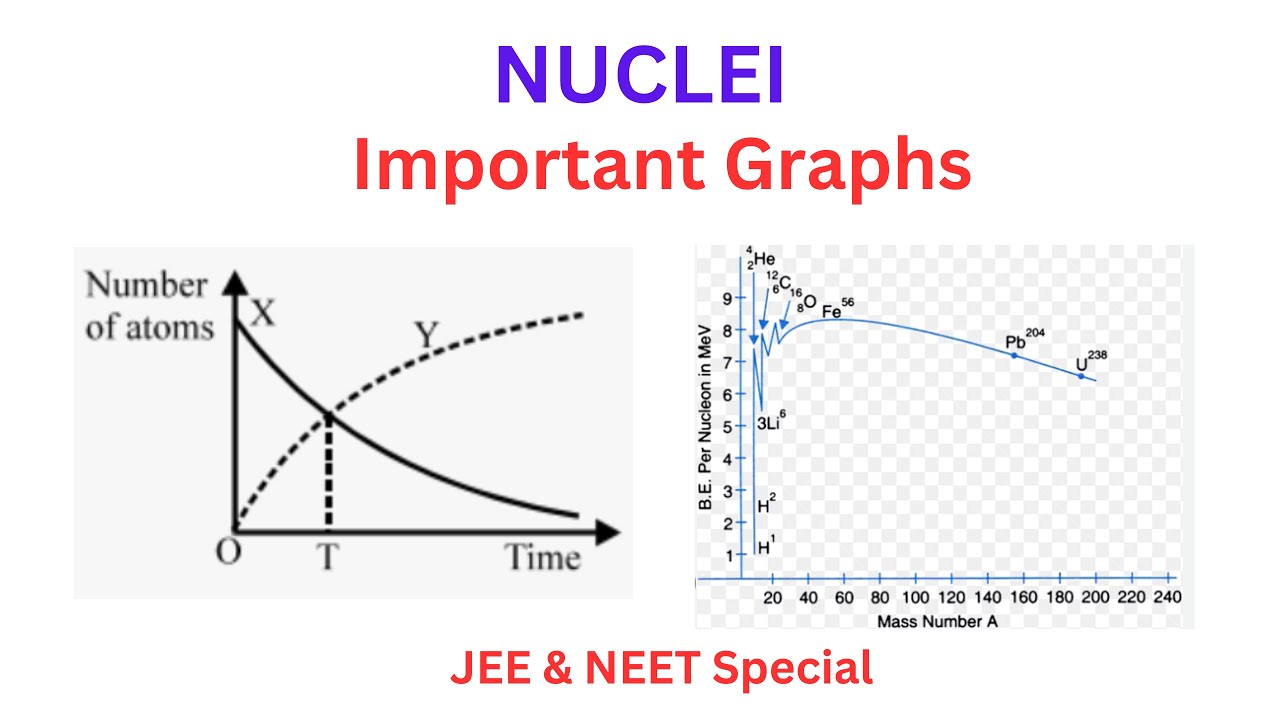 Nuclei Graphs | Physics Graphs | JEE | NEET | CLASS 12 🔥🔥 - YouTube