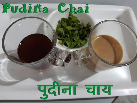Refreshing and soothing natural Mint Tea/Pudina Chai | स्पेशल पुदीना ...