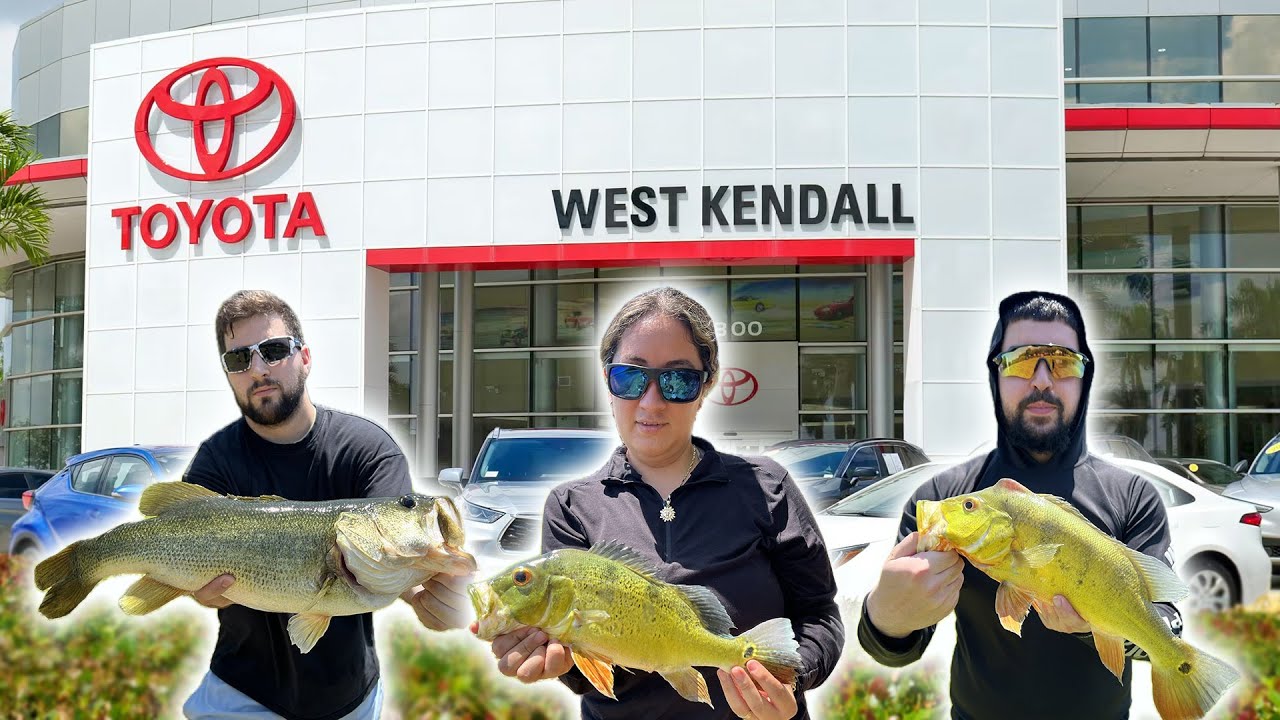 Employee Fishing Battle at West Kendall Toyota - Peacock Bass Fishing ...