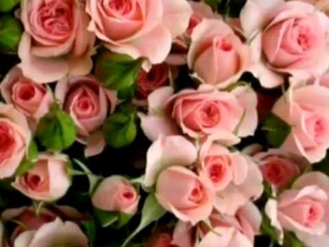 Zehra Ilahi Negmeler Qrupu ( Ya Eli Movla Eli)050 688-20-71, 070 352-26-25