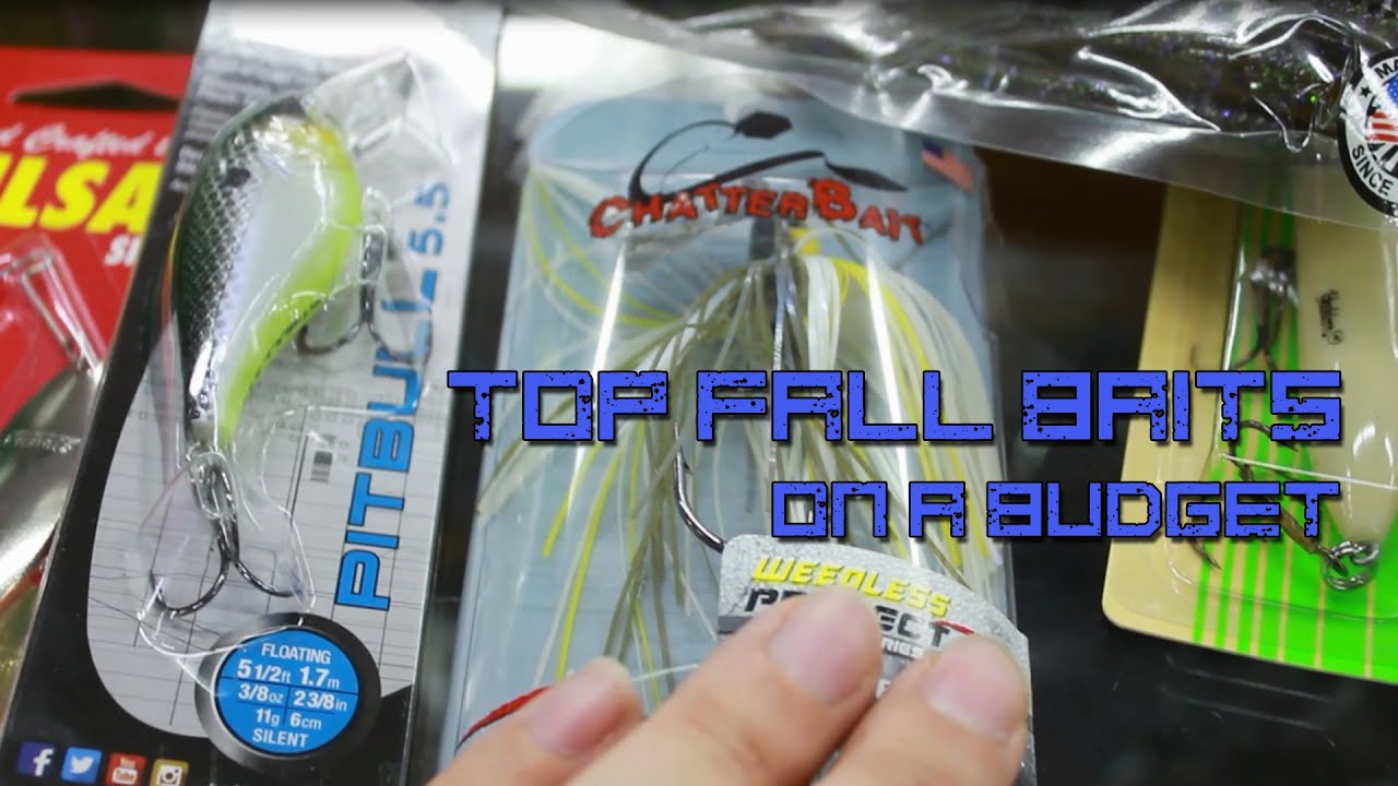Bassin on a Budget: Fall Bass Fishing Baits for Under $50.00 - YouTube