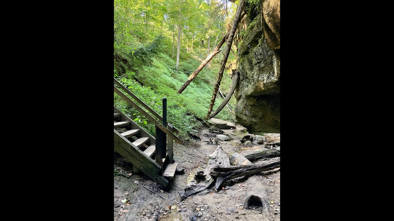 Turkey Run State Park (Indiana) | Best for Hiking and Fall Activities ...