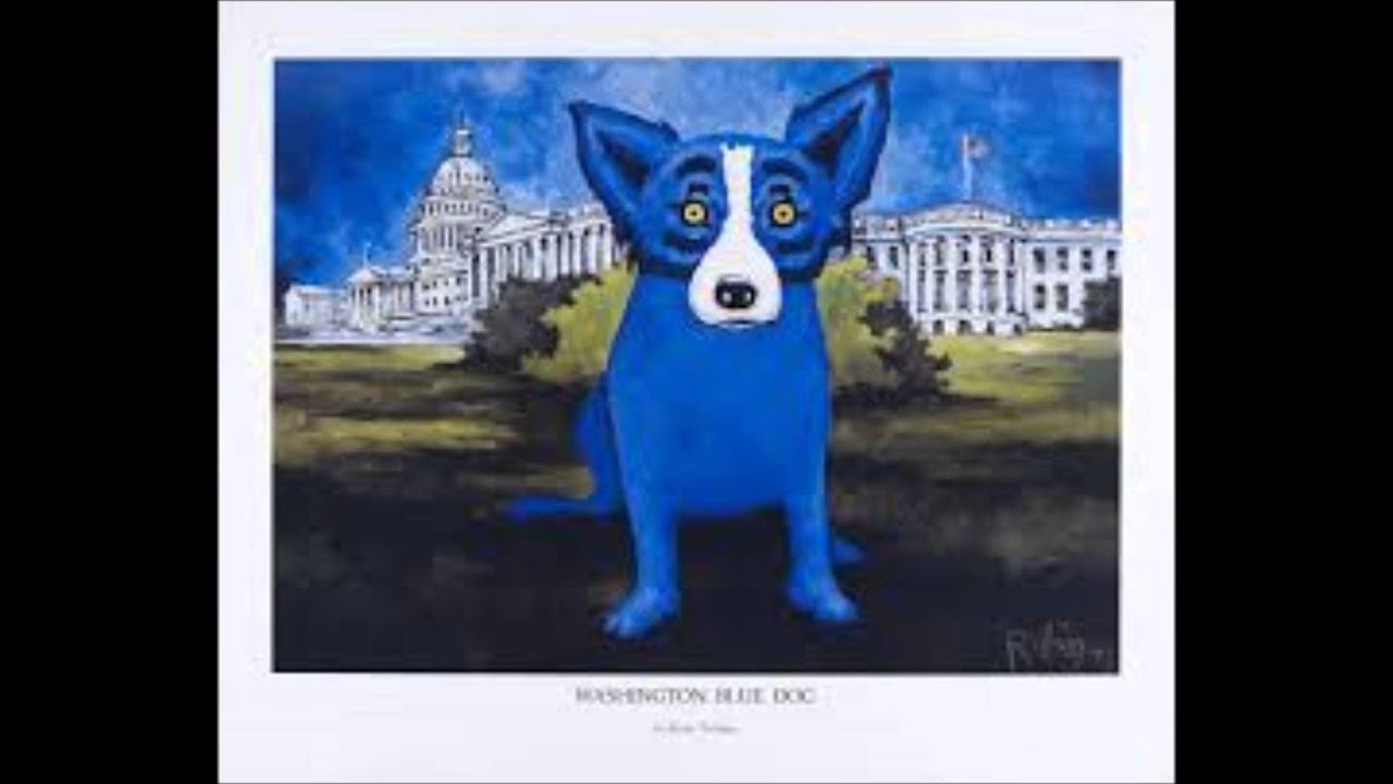 Blue Dog - YouTube