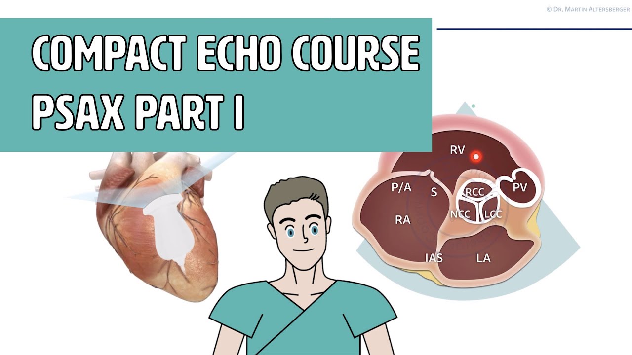 〖Echocardiography〗 Parasternal short axis - Anatomy part I (PSAX) - YouTube