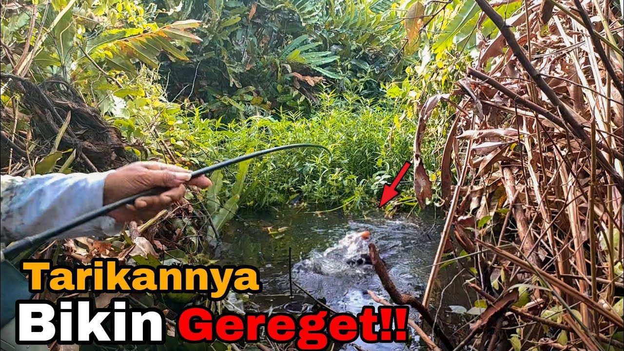 KEISTIMEWAAN !! Mancing ikan di spot yang puluhan tahun jarang di jamah ...