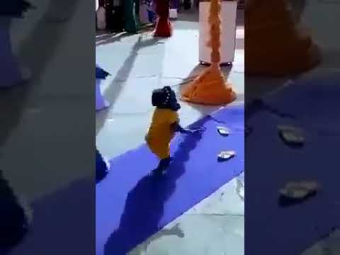 Tövbe tövbe tövbe tövbe tövbe edip de yabacam