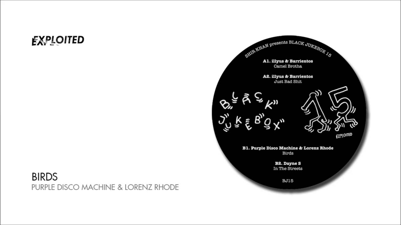 Purple Disco Machine & Lorenz Rhode - Birds | Exploited - YouTube Music