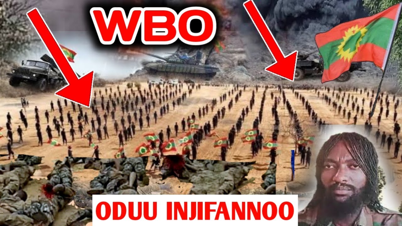 ODUU MOHA INJIFANNOO WBO Haaraa Amma nu geesse kunoo - YouTube